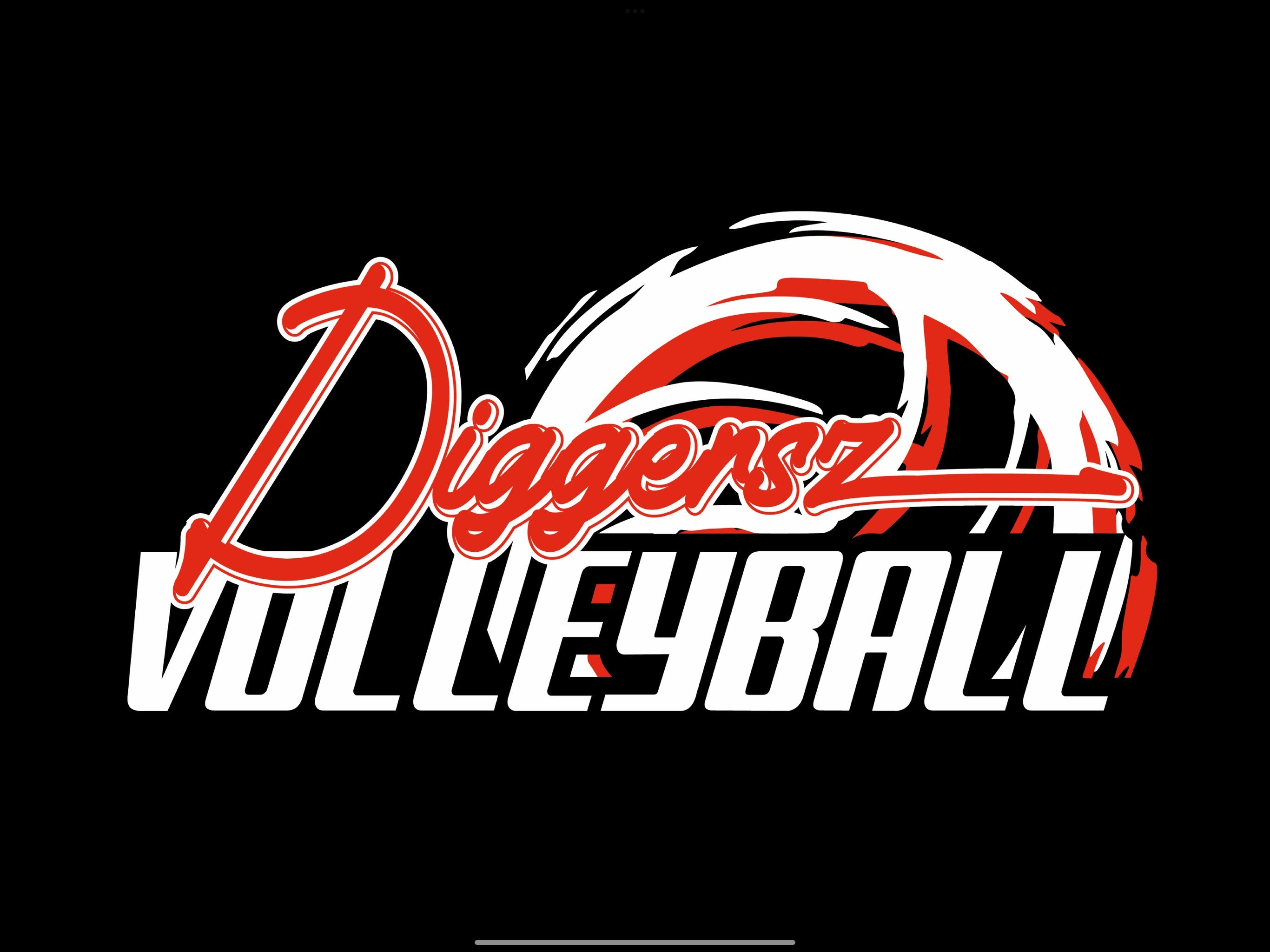 Diggersz Volleyball – Enny Acre Design